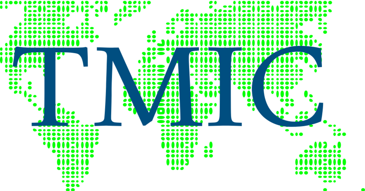 TMIC: Hagamos de la Internacionalización de tu empresa una historia de ...